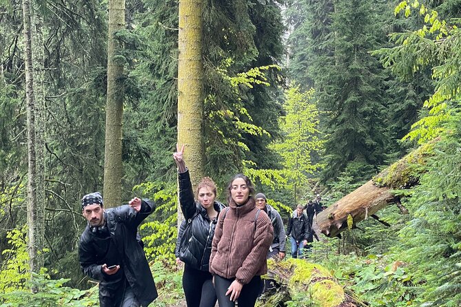 13 km hike in Borjomi - Group tour from Kutaisi - Key Points