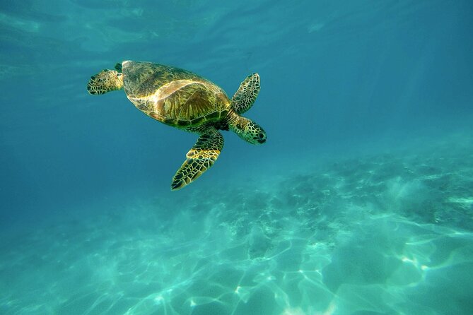 12 Day Private Tour at Ancient Greece with Zakynthos & Santorini - Who Would Love This Tour?