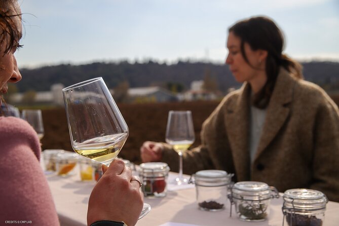 A Journey Into Wines Tastes and Aromas - Gastronomic Delights: Veneto Specialties