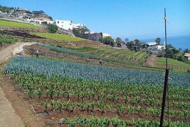 Agriculture Green Tour - Itinerary Breakdown: What You’ll Actually Do