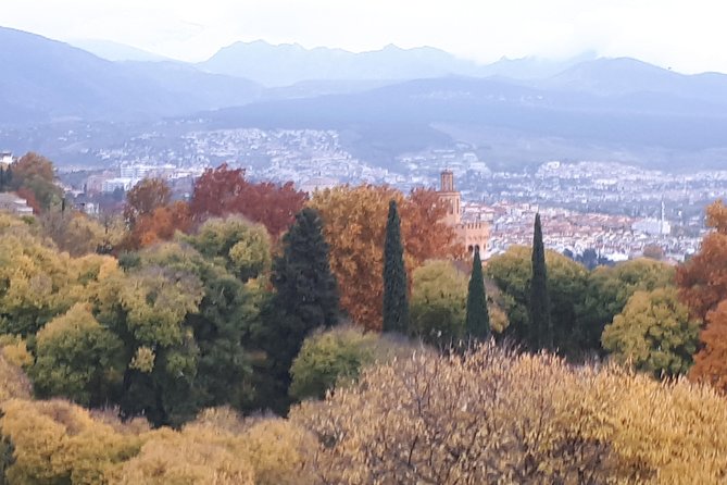 Alhambra Sultan Gardens ,Palaces and towers .Skip the line - The Value of This Tour