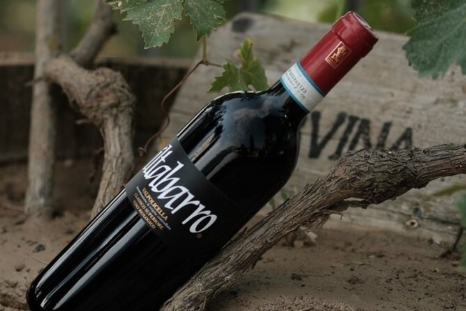 Amarone 2005 Wine Experience - Who Will Love This Experience?