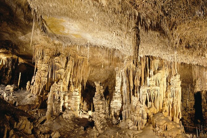 Caves Drach Tour & Return Transfer from Cala Dor-Calas Mallorca