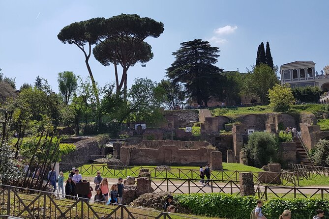 Colosseum Arena Floor Roman Forum and Palatine Hill Live Guide - Authentic Experiences and Common Feedback