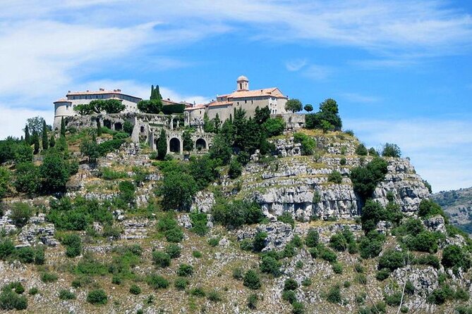 Countryside and Wine Tasting Full-day tour from Cannes - What Reviewers Say