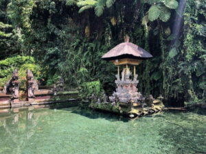 Cretya Ubud Infinity Pool,Hidden Waterfall, Temple &Lunch