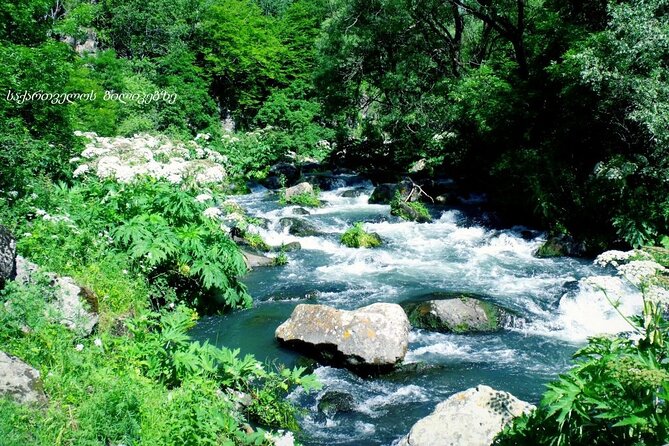 Dashbashi Canyon. The village of Asureti and Didgori monument. - Evaluating the Tour’s Value