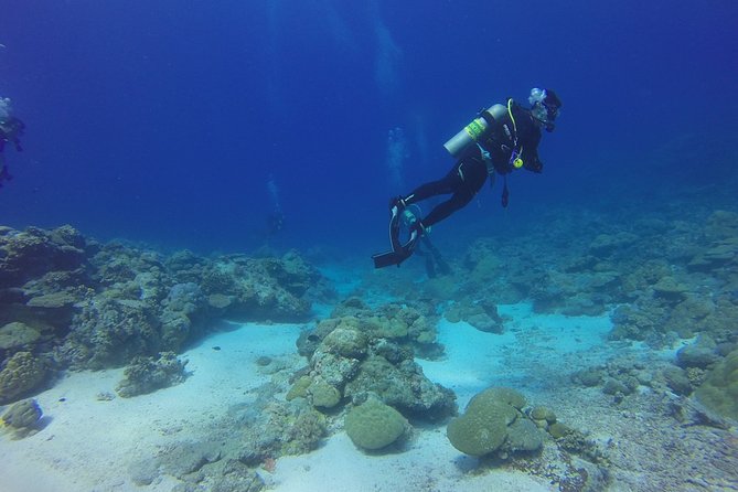 Diving Baptism - Practical Details and Logistics