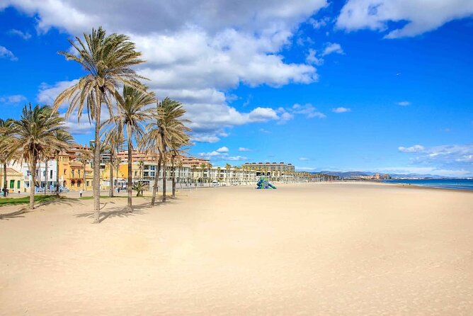 E-bike Tour: Beaches, & City of Arts and Sciences (From 30,00) - Who Will Love This Tour?