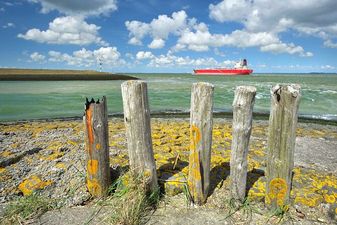 e-Scavenger hunt Terneuzen: Explore the city at your own pace - Practical Details and Considerations