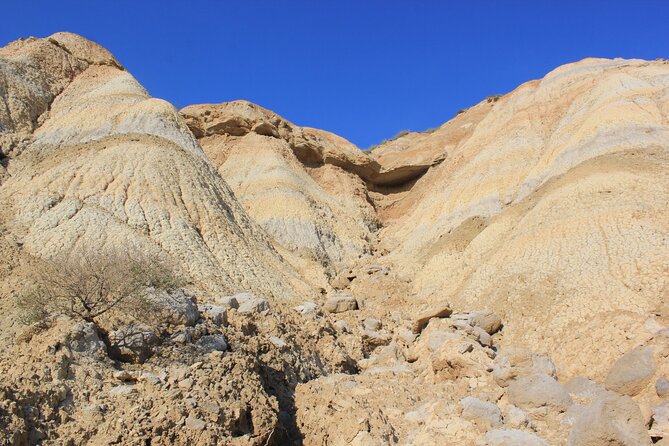 Excursion by car with official guide in Bardenas Reales - Why This Tour Works Well