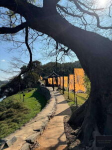 From Seoul: Gongju and Buyeo 2-Day Tour with Accommodation