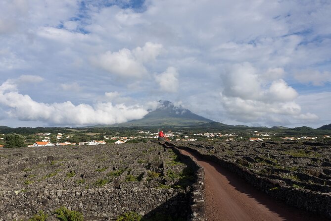Full-Day Pico Island Tour from Horta