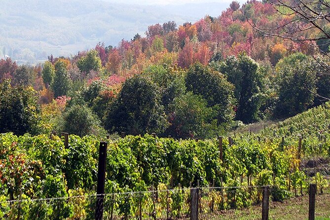 Full-Day Private Royal Heritage Tour to Oplenac With a Winery Visit - Review Insights and Authentic Perspectives