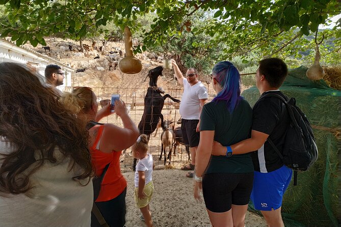 Full-Day Small-Group Tour in Crete & the cave of Zeus