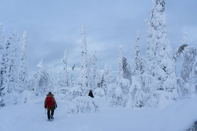 Full-Day Snowshoeing Adventure in Amethyst Mine Pyhä Luosto - The Value of the Tour and Final Thoughts