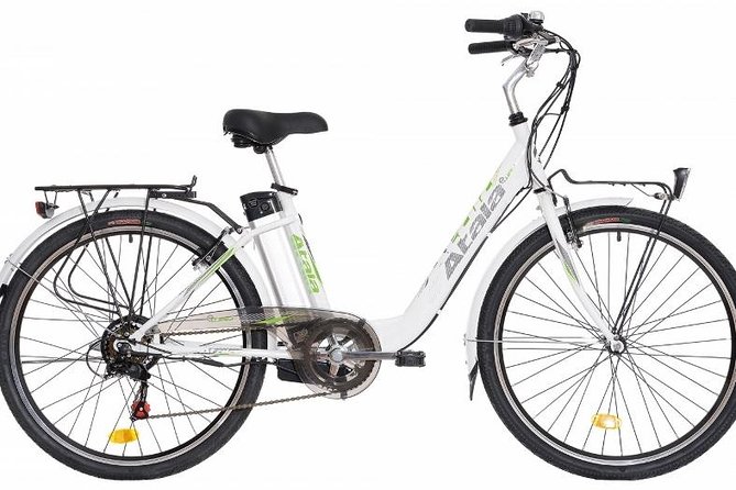 Full Day Venice E-Bike Rental - The Sum Up