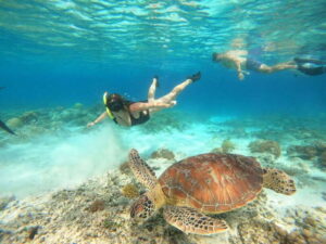 Gili Trawangan: Private Snorkeling (Coral, Statues, Turtles)