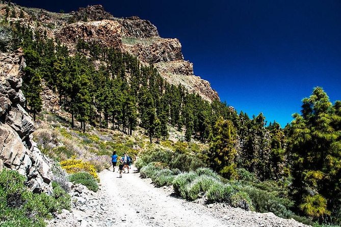 Guided Hike - The Tajinaste Trail - The Experience’s Highlights in Practice