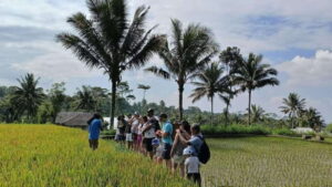 Lombok: Tetebatu Walking Tour with Monkey Forest & Waterfall