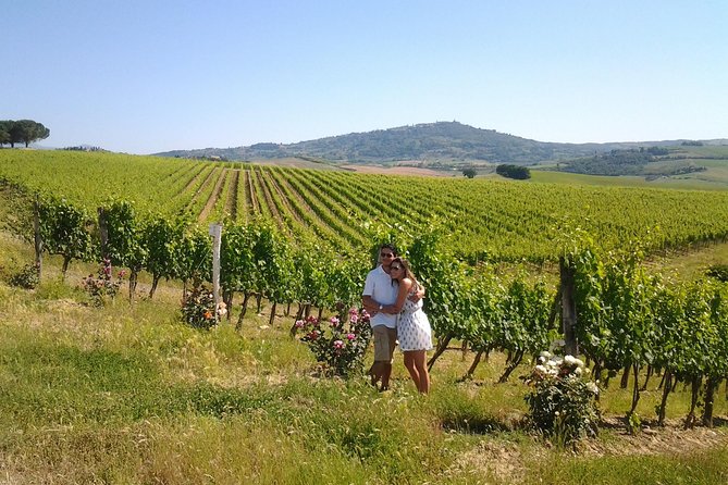 Meet the king of the territory: Brunello di Montalcino - The value of guided winery visits
