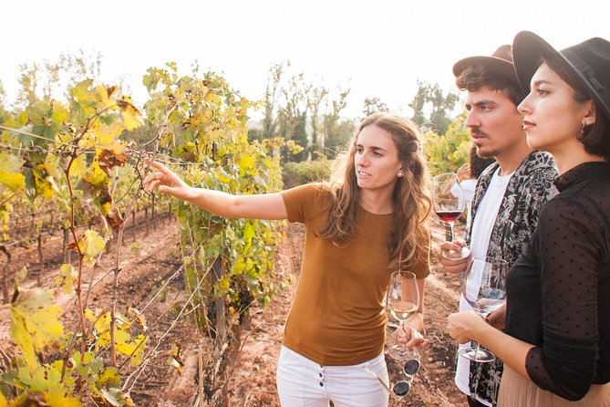 Montserrat & Cogwheel Train, Gourmet Wine Tasting & Tapas/Lunch - Breaking Down the Experience