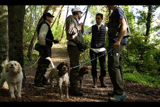 Mushroom or Truffle Hunting - Who Will Love This Tour?