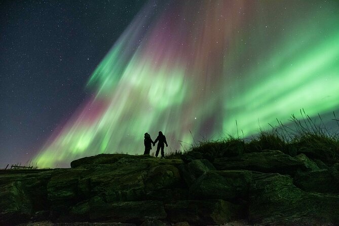 Northern Lights Chase by Minibus - Transportation and Comfort