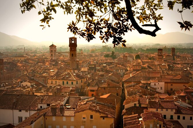 Pisa, Lucca & Cheese Farm with wine tasting Private Tour - A Deep Dive Into the Tour Experience