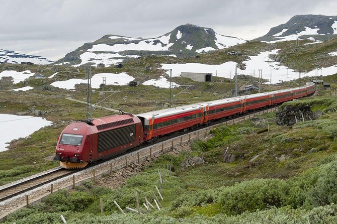 Private guided tour to Oslo - Nærøyfjord Cruise & Flåm Railway - A Detailed Look at the Tour