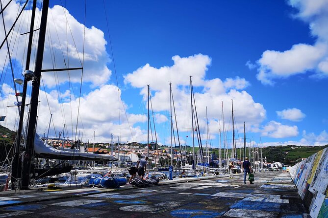 Private Half-Day Walking Tour of Horta Experience - Who This Tour Is Best For