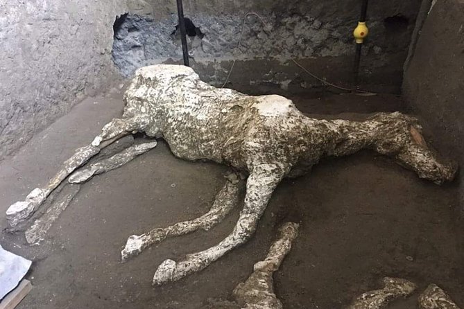 Private Pompeii Tour With Guide and Transfer Included - FAQ
