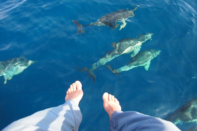 Sailing Boat-always private-always by sail-search for dolphins - The Booking, Cost, and Practical Considerations