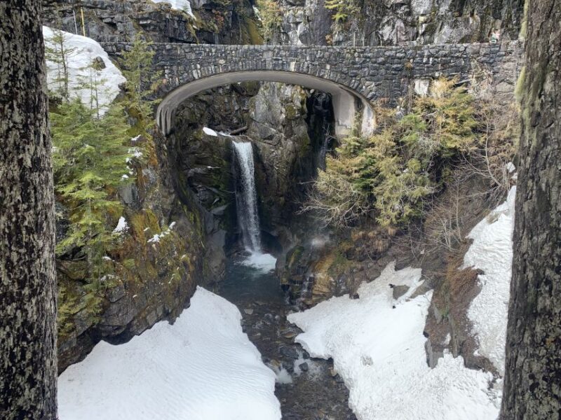 Seattle: Mt. Rainier Hiking w/ Waterfalls, Glaciers & Trees - Practical Details and Tips