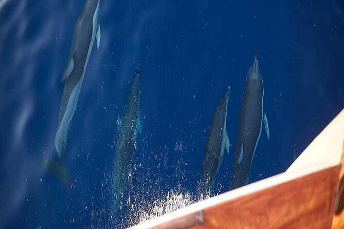 Semipriv FishingTour on Kaiki Paros/Naousa or Private sunset tour - The Sum Up
