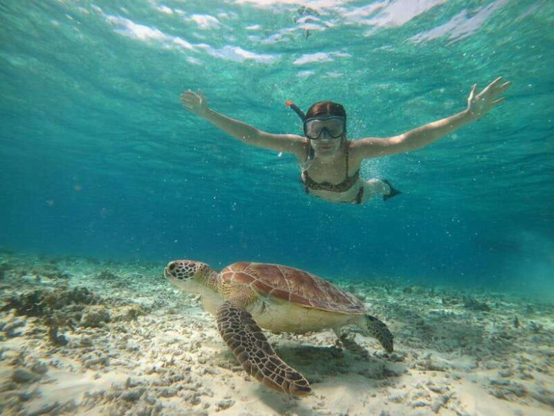 Shared Snorkeling tour around 3 island (GoPro photoshoot) - What You Should Know Before Booking