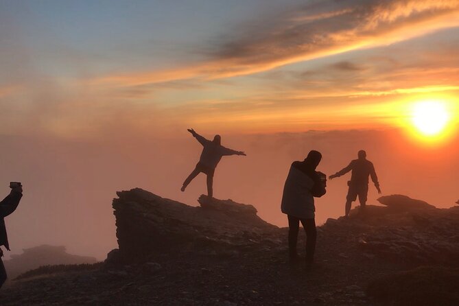 Sierra Nevada Safari 7 hours tour from Granada