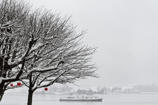Small-Group Christmas Day Trip to Hallstatt from Vienna - Practical Details and Value
