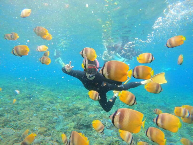 Snorkeling Adventure with Lucky Snorkeling - The Itinerary: What Makes Each Stop Special