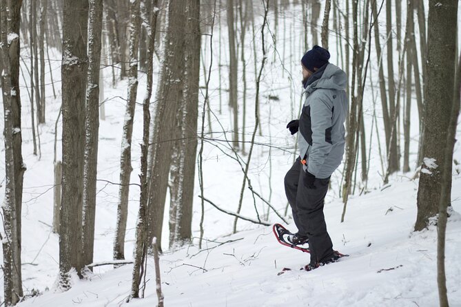 Snowshoeing tour with Wild Lunch