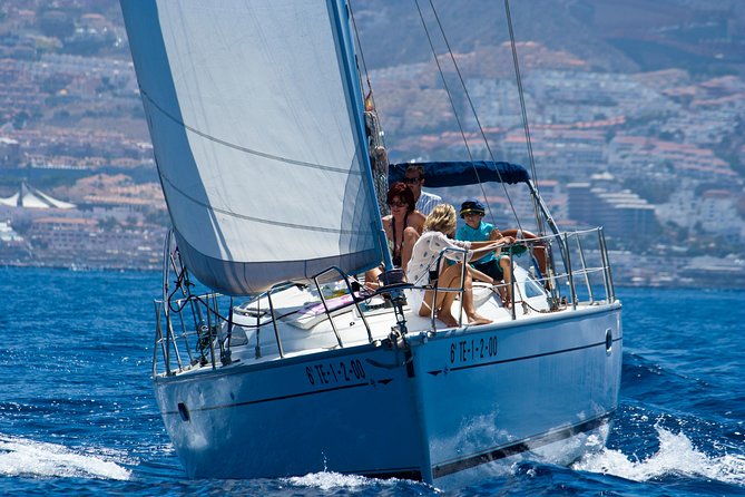 Tenerife 3-Hour Discover Whales and Dolphins - The Sum Up