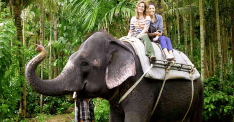 TheActivity that won the Best Tourist Attraction in SriLanka - Final Thoughts