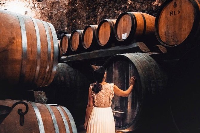 Tour of the historical cellars in Montepulciano - Exploring the Tour in Detail
