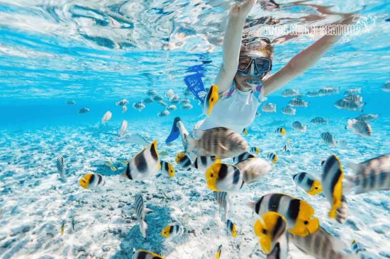 Trang: Full-Day Outer & Inner Ko Rok Private Speed Boat Tour - FAQ
