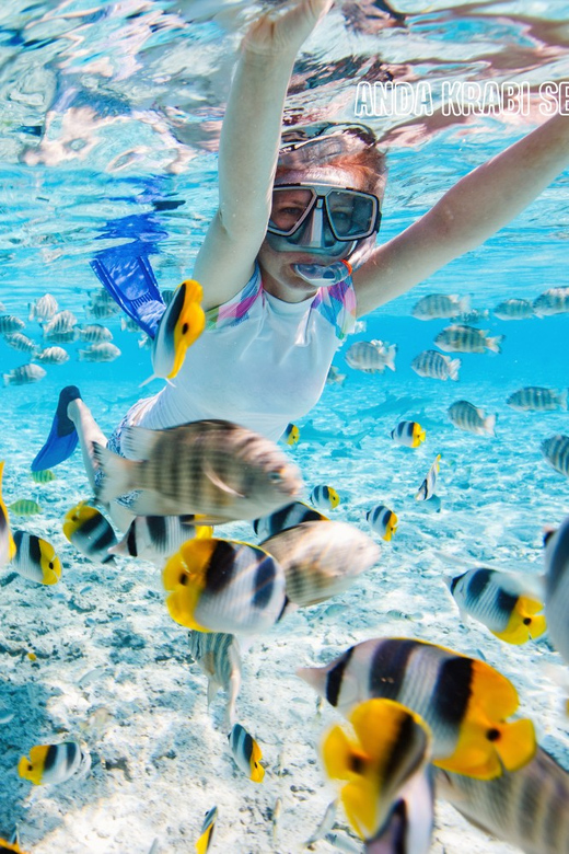 Trang: Full-Day Outer & Inner Ko Rok Private Speed Boat Tour - The value of this tour