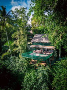 Ubud: Alas Harum Day-Pass, Swing, Sky Bike & Flying Fox