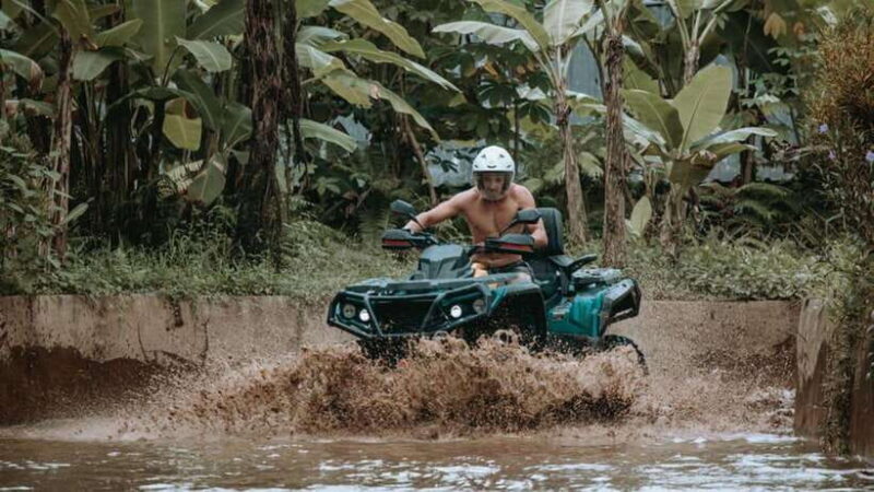 Ubud: Jungle ATV Adventure Waterfall Gorilla Cave and Lunch - The Gorilla Face Cave: A Unique Highlight