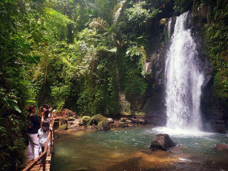 Ubud : Sacred Temples & Rice Terraces full day, Private Tour - Discovering History and Nature at Gunung Kawi