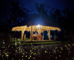 Ubud: Village Firefly Night Tour with Dinner