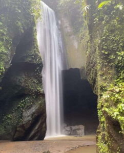 Ubud: Waterfalls and Tegalalang Rice Terrace private Tour